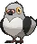 Pidove | Pokémon Wiki | Fandom