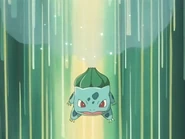 Sleep Powder | Pokémon Wiki | Fandom