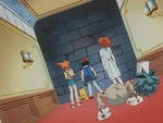 Hassle in the Castle | Pokémon Wiki | Fandom