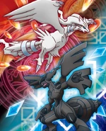 Zekrom | Pokémon Wiki | Fandom