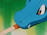 Don't Touch That 'dile | Pokémon Wiki | Fandom