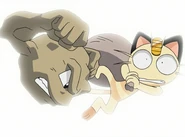 Tackle | Pokémon Wiki | Fandom