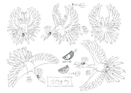 Ho-Oh | Pokémon Wiki | Fandom