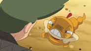 Leer | Pokémon Wiki | Fandom