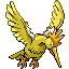 Fearow | Pokémon Wiki | Fandom