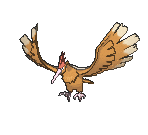 Fearow | Pokémon Wiki | Fandom