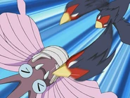 Peck | Pokémon Wiki | Fandom