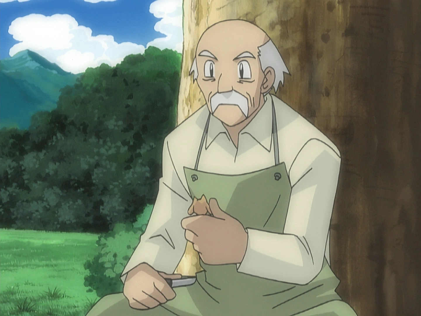 Aura Sphere Riolu's Trainer | Pokémon Wiki | Fandom