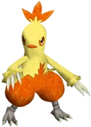 Combusken | Pokémon Wiki | Fandom