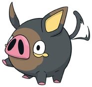 Lechonk | Pokémon Wiki | Fandom