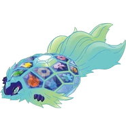 Terapagos | Pokémon Wiki | Fandom