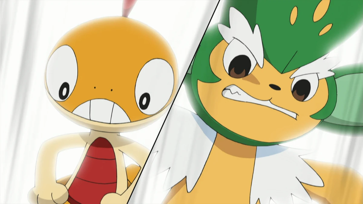 The Clubsplosion Begins! | Pokémon Wiki | Fandom