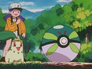 Sport Ball | Pokémon Wiki | Fandom