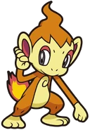 Chimchar | Pokémon Wiki | Fandom