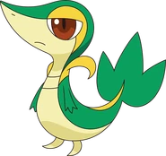 Snivy | Pokémon Wiki | Fandom
