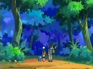 Bewilder Forest | Pokémon Wiki | Fandom