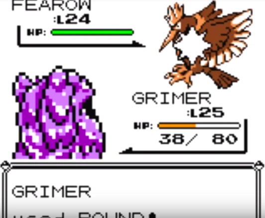 Pound | Pokémon Wiki | Fandom