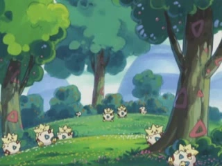 Togepi Paradise | Pokémon Wiki | Fandom