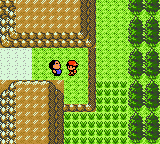 Route 32 | Pokémon Wiki | Fandom