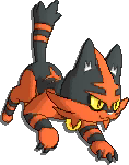 Torracat | Pokémon Wiki | Fandom