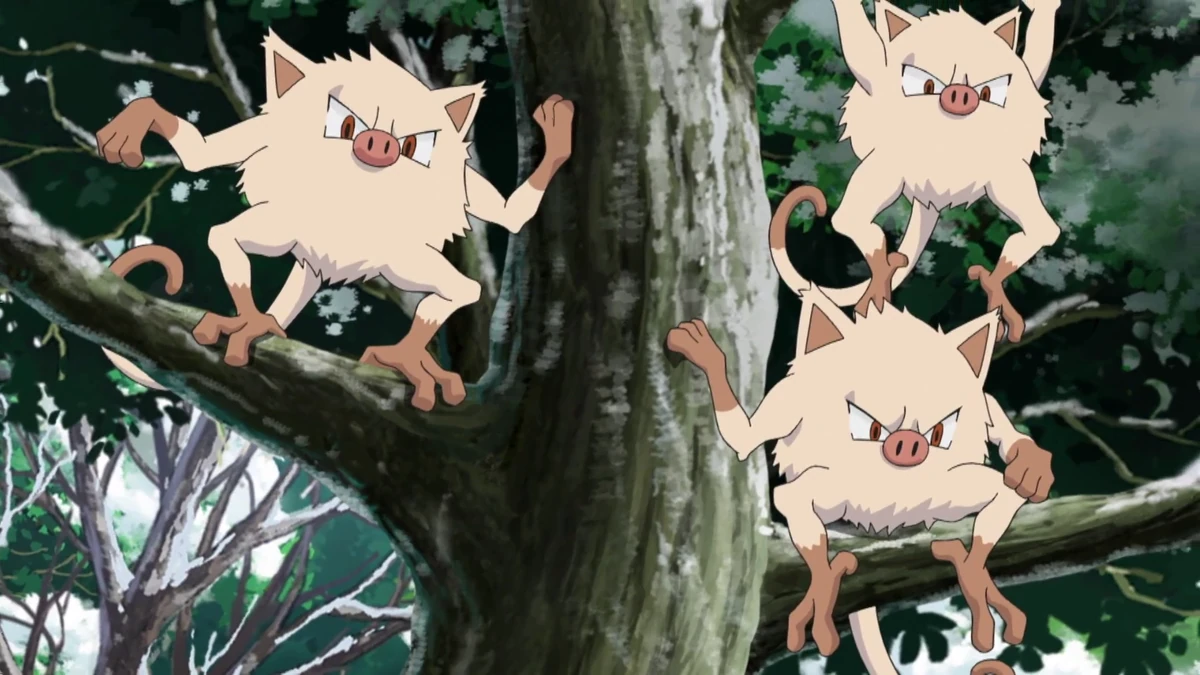 Mankey (PJ015) | Pokémon Wiki | Fandom