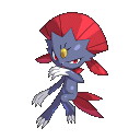 Weavile | Pokémon Wiki | Fandom