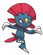 Weavile | Pokémon Wiki | Fandom