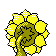 Sunflora | Pokémon Wiki | Fandom
