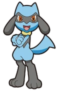 Riolu | Pokémon Wiki | Fandom