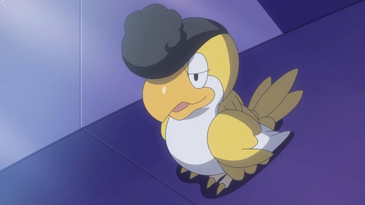 Diana's Squawkabilly | Pokémon Wiki | Fandom