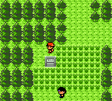 Route 37 | Pokémon Wiki | Fandom