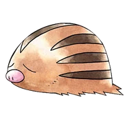 Swinub | Pokémon Wiki | Fandom