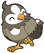 Starly | Pokémon Wiki | Fandom