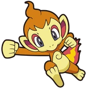 Chimchar | Pokémon Wiki | Fandom