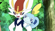 Goh's Cinderace | Pokémon Wiki | Fandom