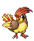 Pidgeotto | Pokémon Wiki | Fandom
