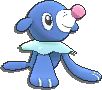 Popplio | Pokémon Wiki | Fandom