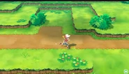 Route 5 (Kanto) | Pokémon Wiki | Fandom