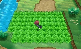 Route 2 (Kalos) | Pokémon Wiki | Fandom