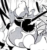 Rocco | Pokémon Wiki | Fandom