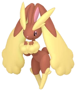 Lopunny | Pokémon Wiki | Fandom