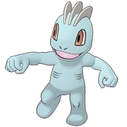 Machop | Pokémon Wiki | Fandom