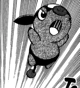 Bo | Pokémon Wiki | Fandom