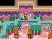 Johto Gyms | Pokémon Wiki | Fandom