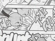 Peck | Pokémon Wiki | Fandom