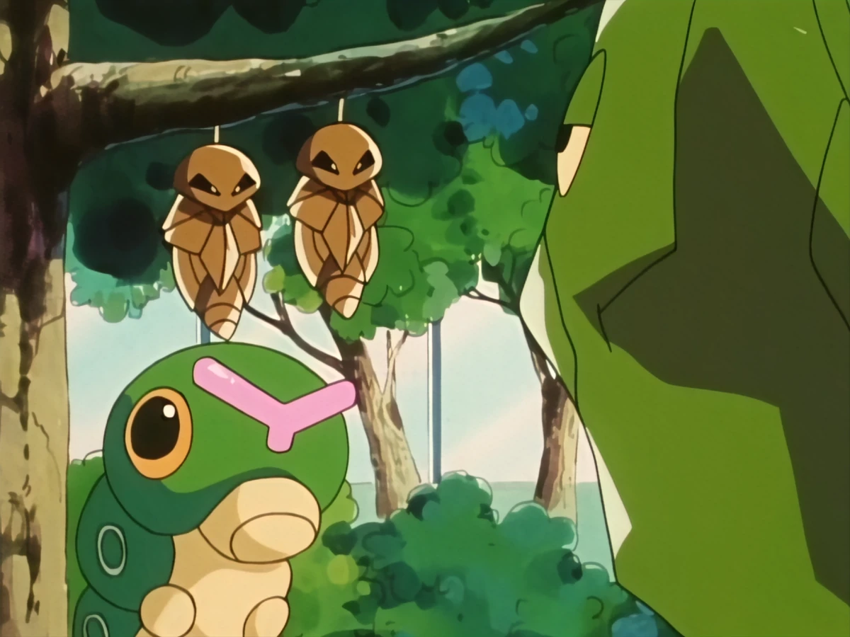 Bugsy's Kakuna (anime) | Pokémon Wiki | Fandom