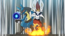 A Close Call… Practically! | Pokémon Wiki | Fandom