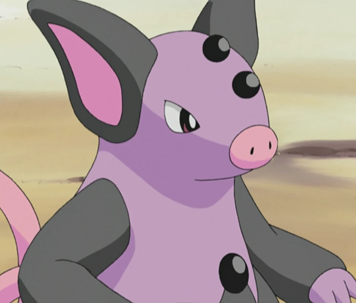 Kelly's Grumpig | Pokémon Wiki | Fandom
