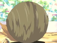 Rollout | Pokémon Wiki | Fandom