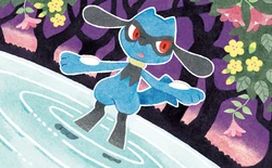 Riolu Pokemon Ultra Sun